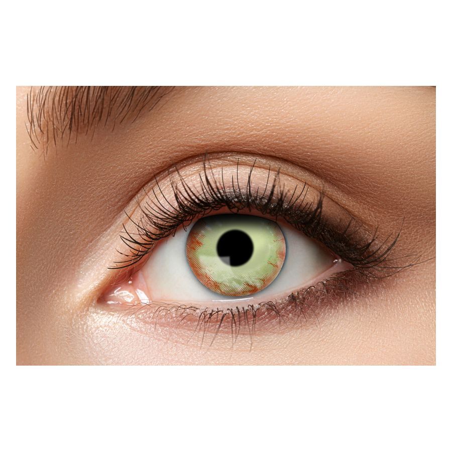 Undead Eyes › Wildcat International