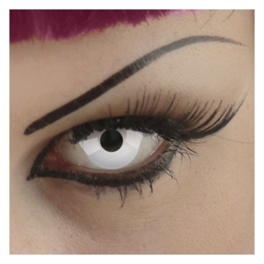 White Only › Wildcat International